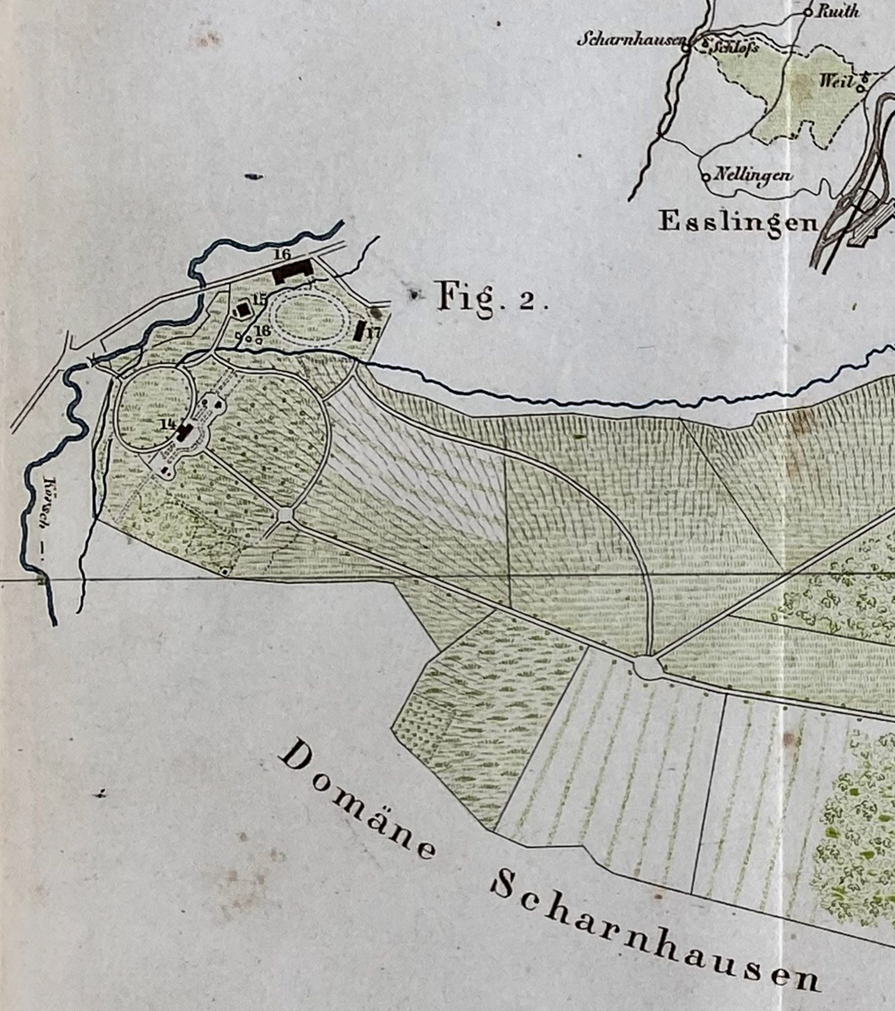 Gestüt Scharnhausen – Unruhe unter Vollblutarabern bei Adam + Stotz