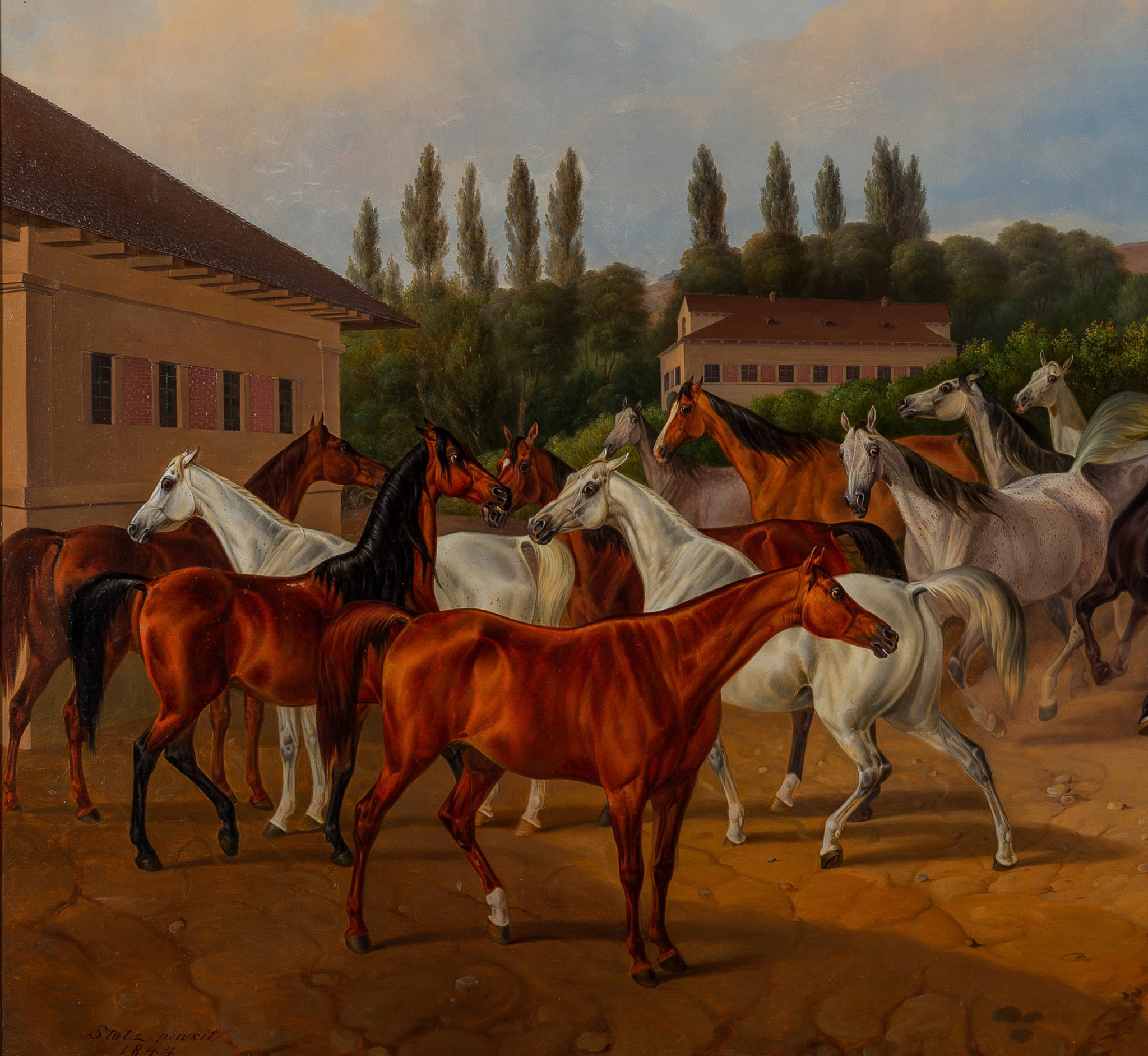 Gestüt Scharnhausen – Unruhe unter Vollblutarabern bei Adam + Stotz